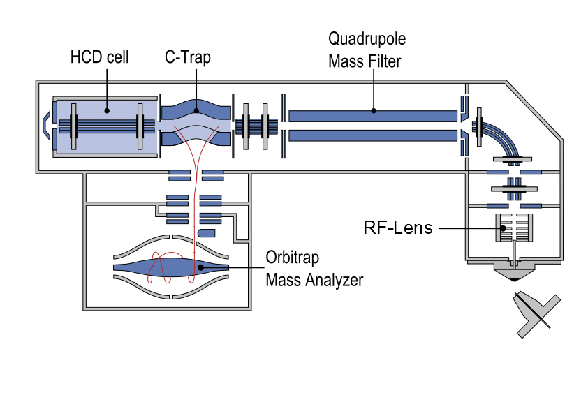 Thermo Scientific - Q Exactive Focus